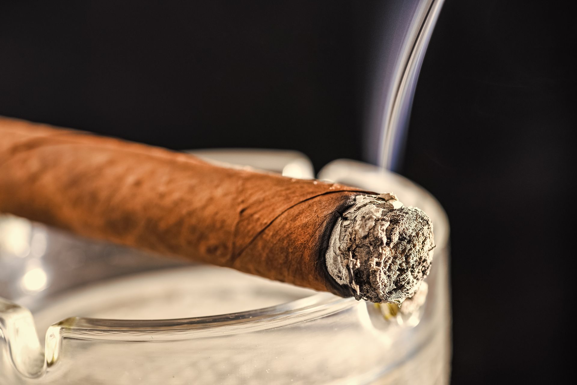 Mi Primer Cigarro | Cigars2go